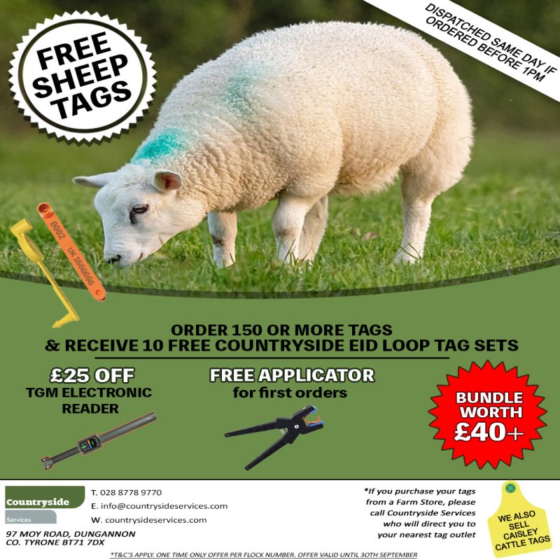 FREE SHEEP TAGS - EXCLUSIVE OFFER - Countryside Tag Orders