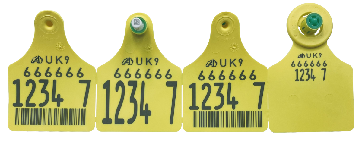 Future Proof your Herd with Caisley Genotronic Cattle Tags ...